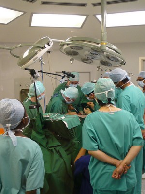 Bringing Surgery To Life - If You've Got The Gall For It... - Science ...