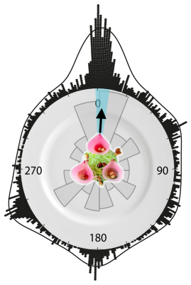 How rotating plates can make your food taste better - Science Museum Blog