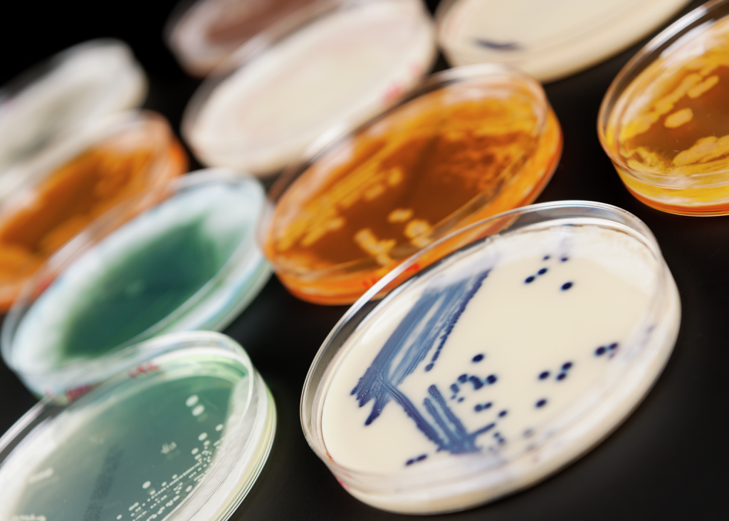7 things about bacteria - Science Museum Blog