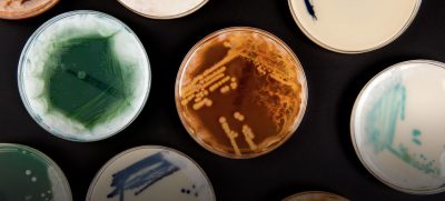 7 things about bacteria - Science Museum Blog