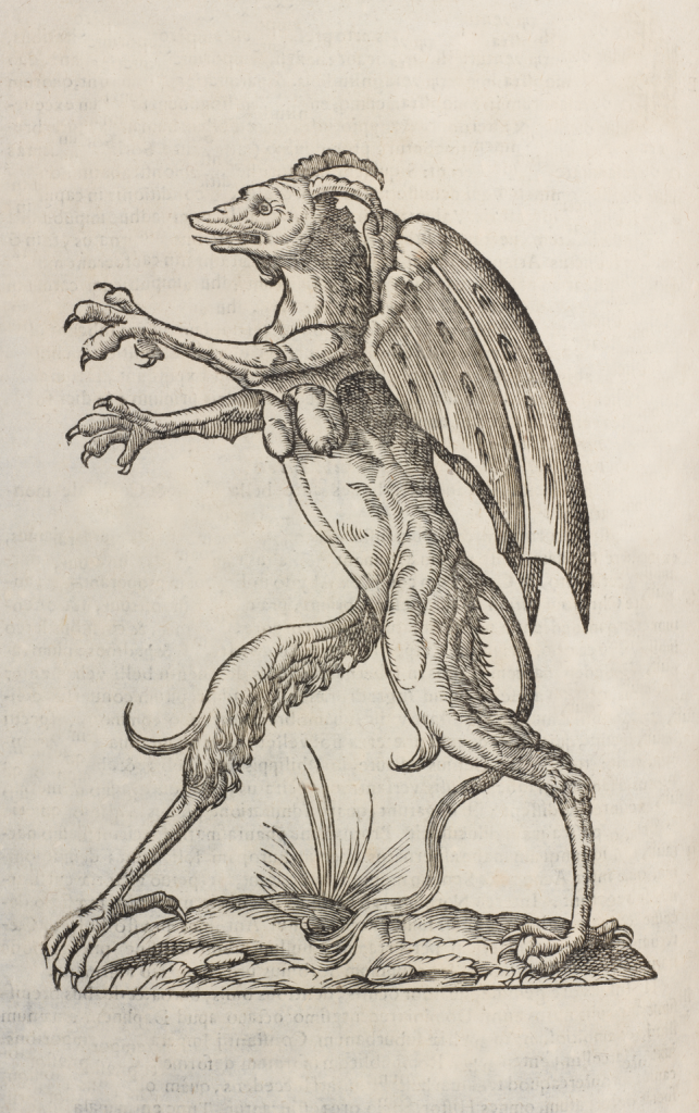 Dreams of flight - Science Museum Blog