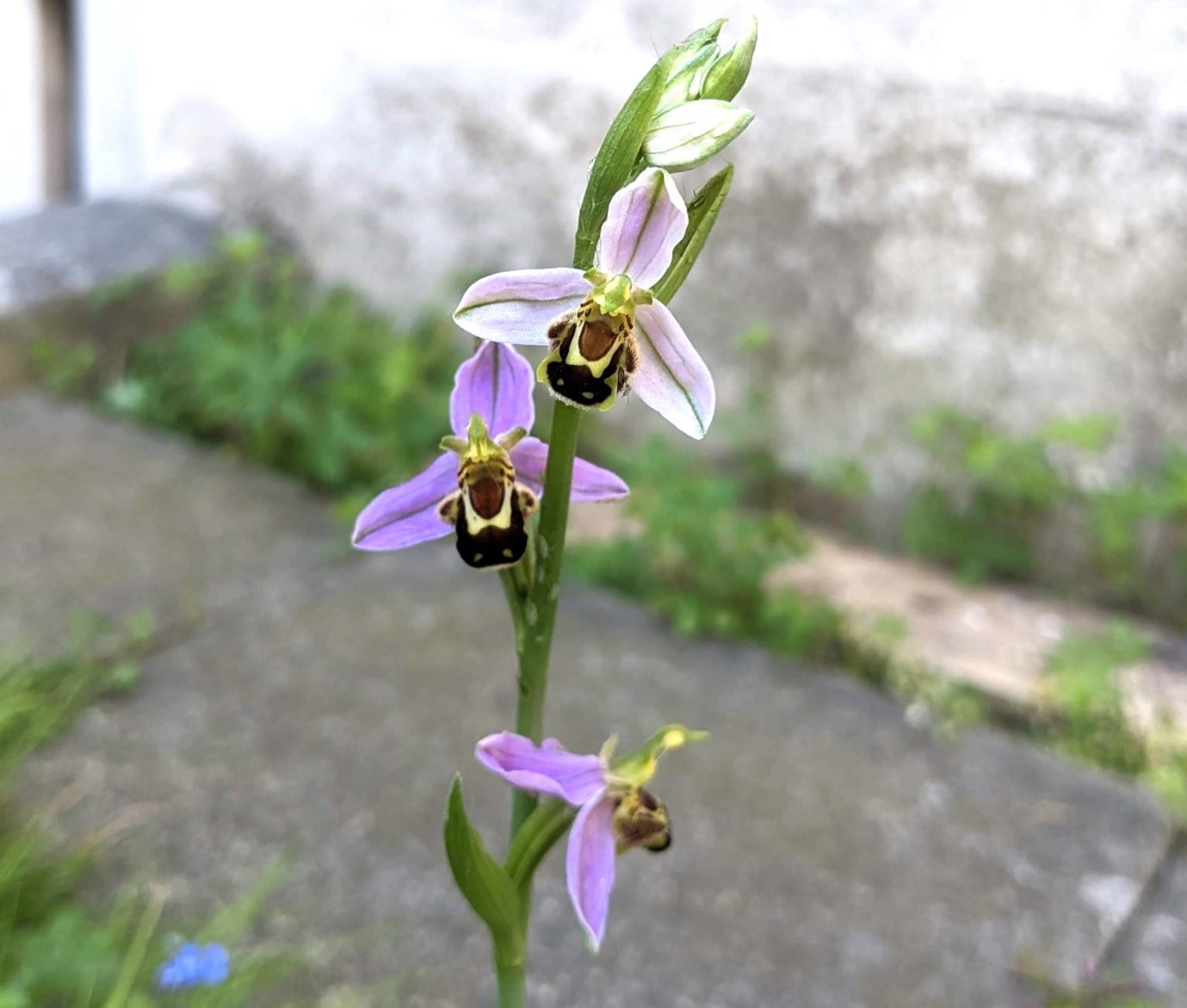 The Science of Nature – the Nature of Science - Science Museum Blog