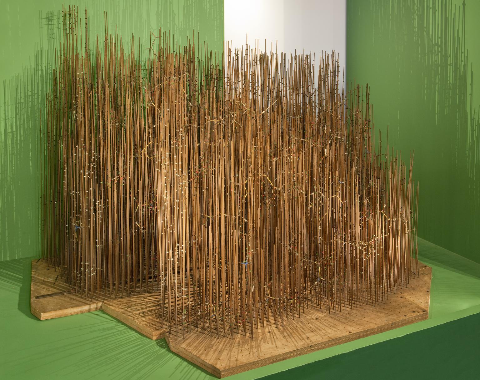 Dawn of a new era for synthetic life | Qubixity.net