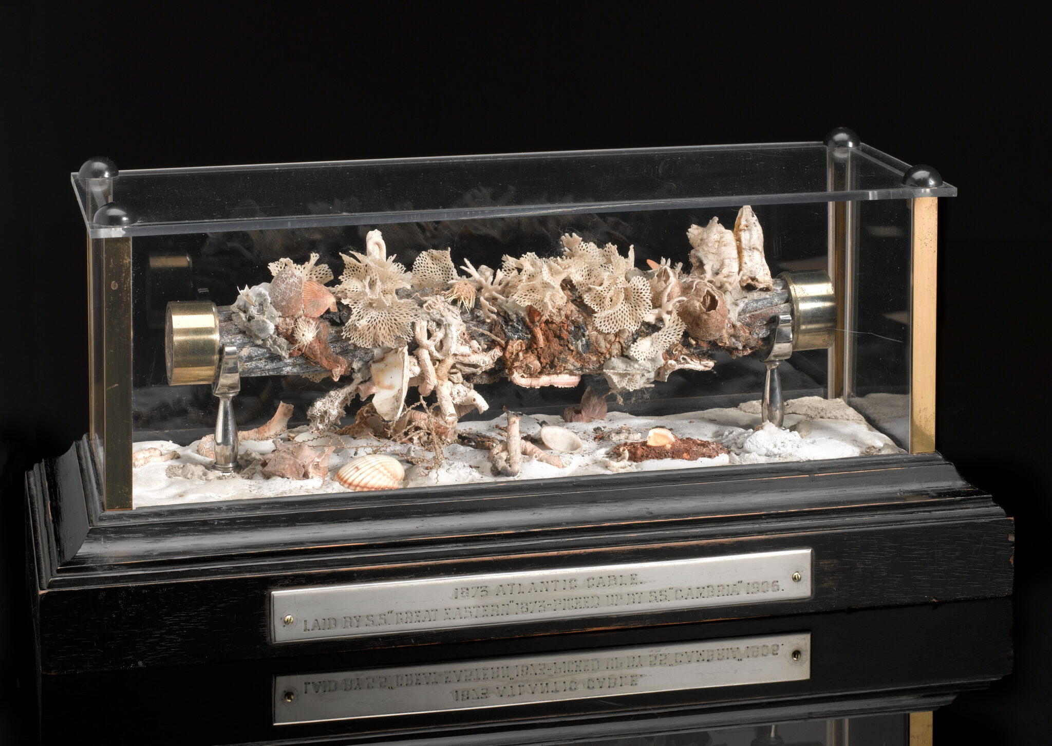 Information Age: 10 years on - Science Museum Blog